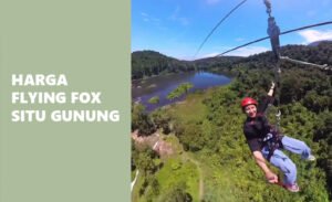 Flying Fox Situ Gunung